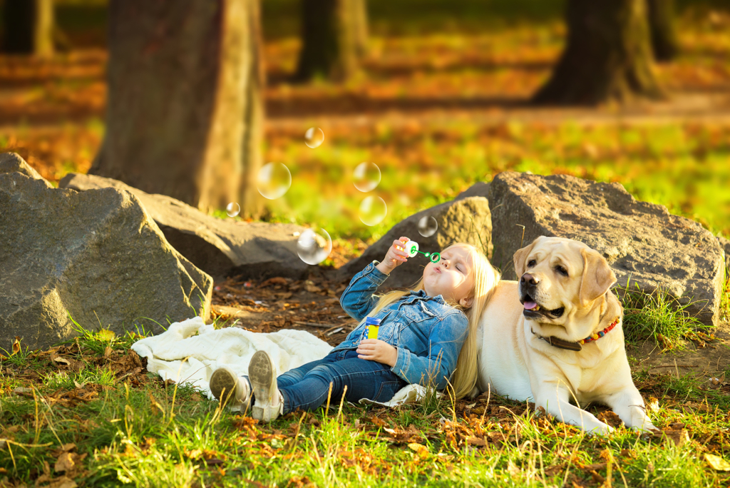 Dog Training | Dog Guru | NZ's Trusted Dog Trainers | 0800 DOG GURU